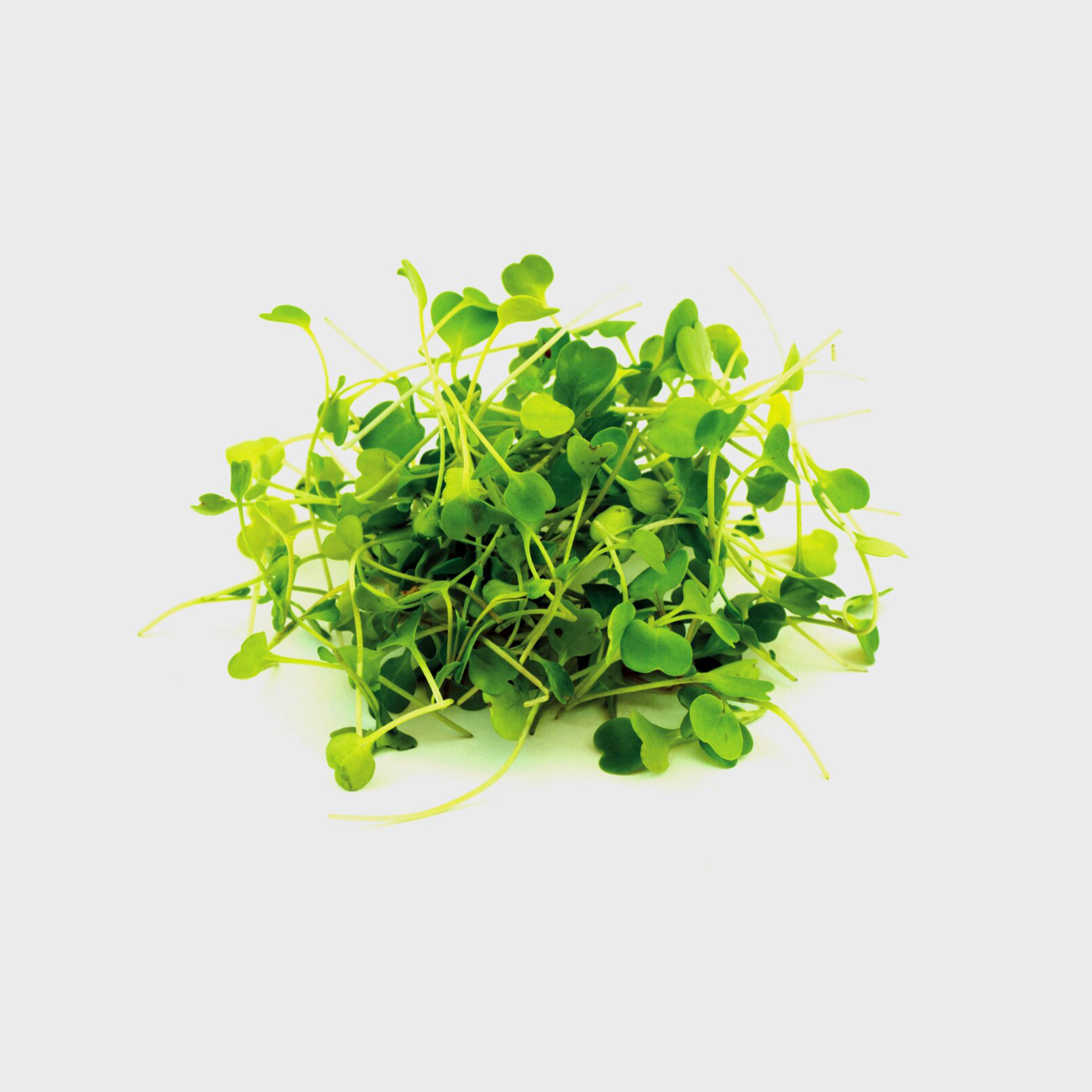 ΡΟΚΑ BIO 25γρ | FoodsCross