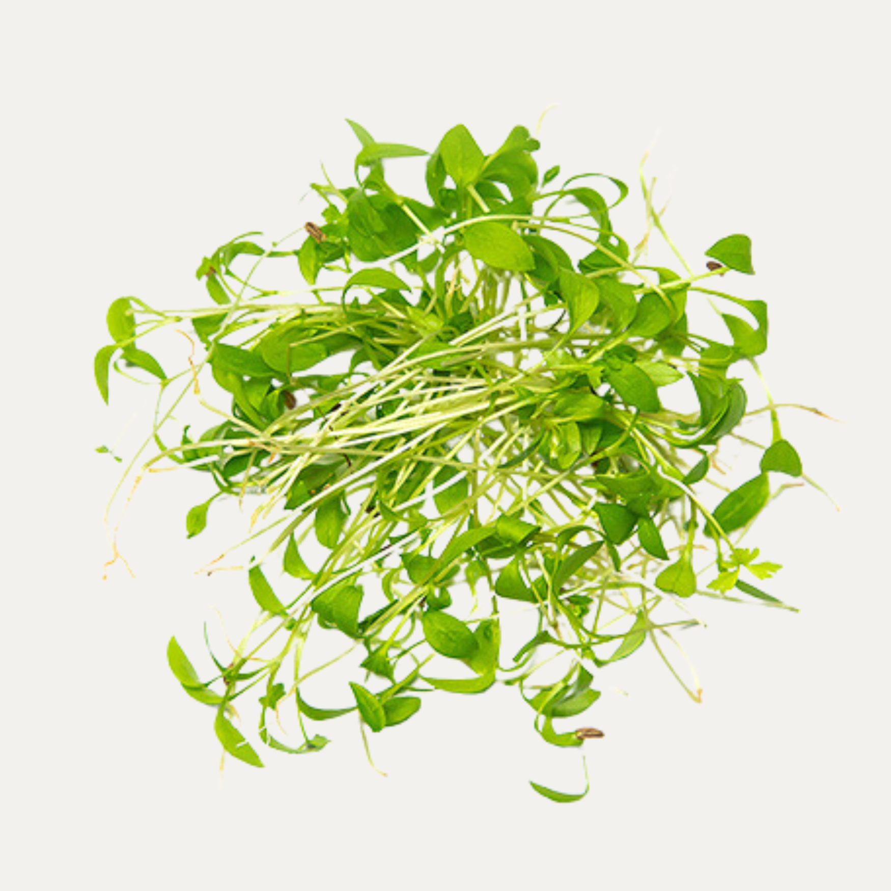 Προϊόντα – FoodsCross