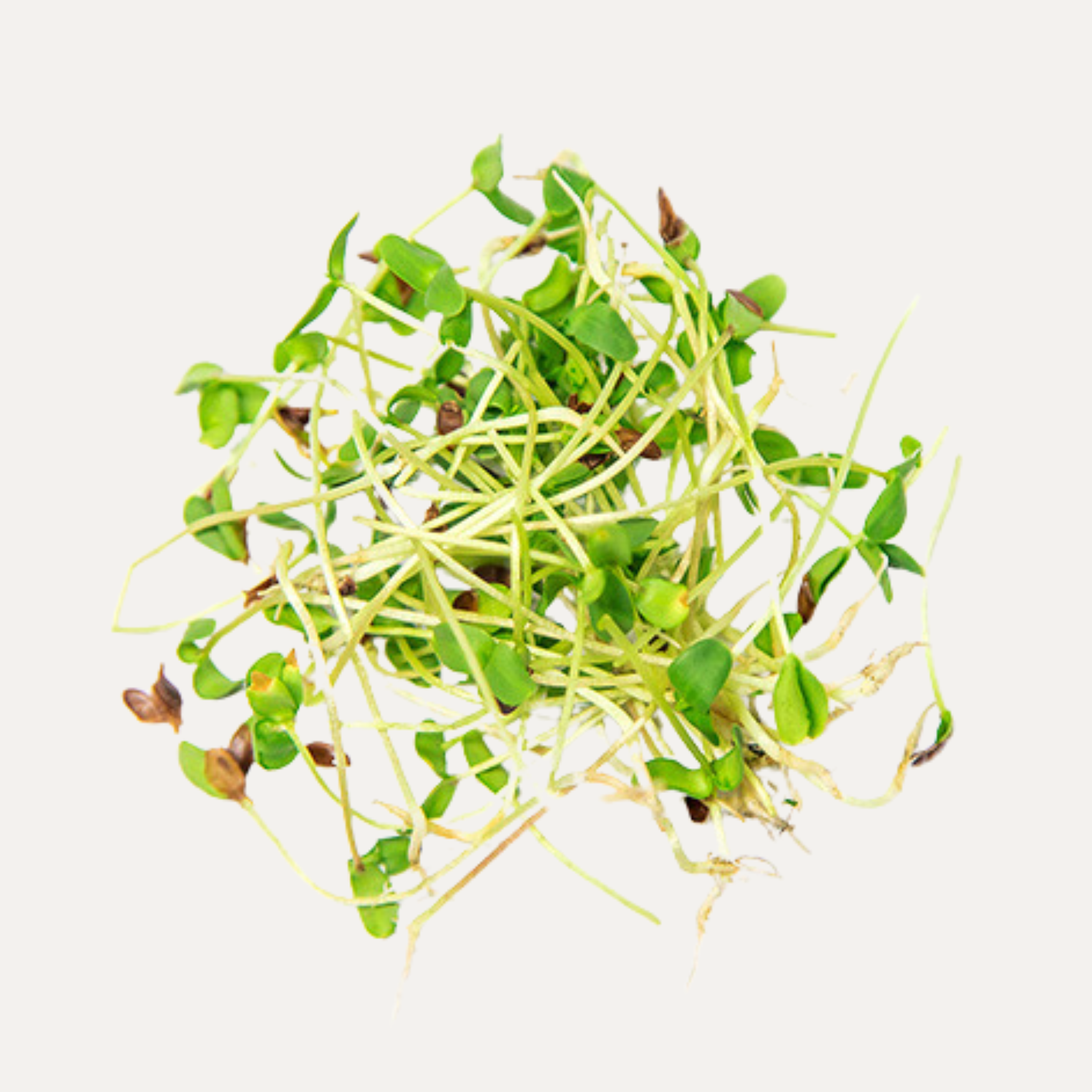 Προϊόντα – FoodsCross