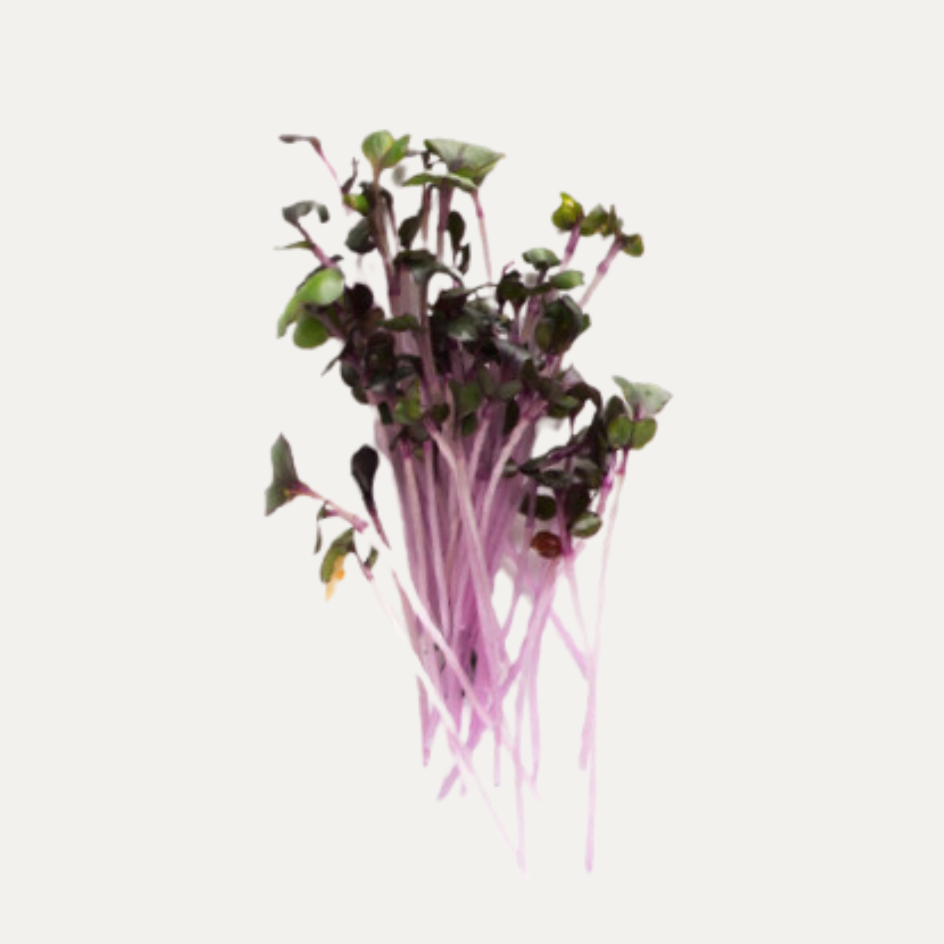 Προϊόντα – FoodsCross