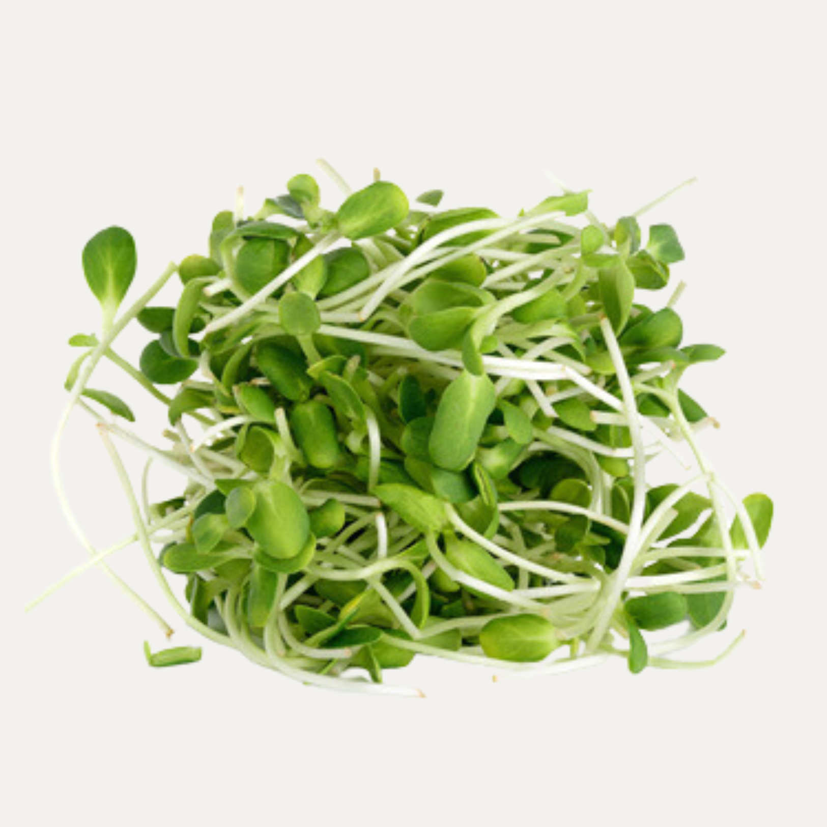 Προϊόντα – FoodsCross